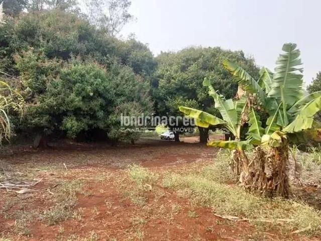 Terreno / Lote para Venda em Ibiporã/PR Zona Rural
