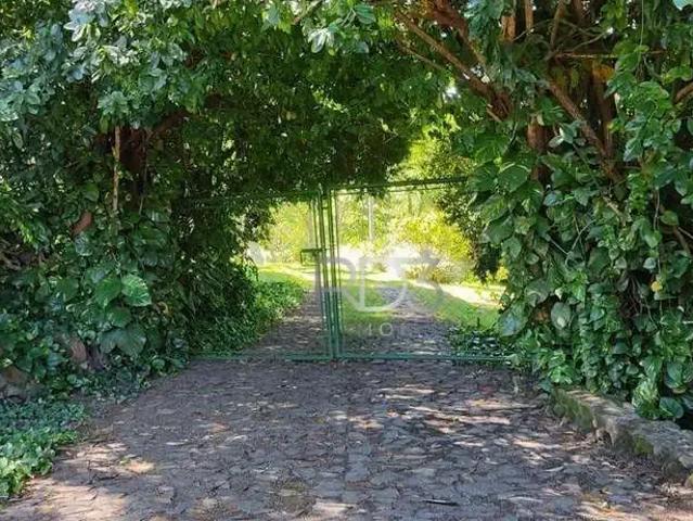 Terreno / Lote para Venda em Ibiporã/PR Zona Rural