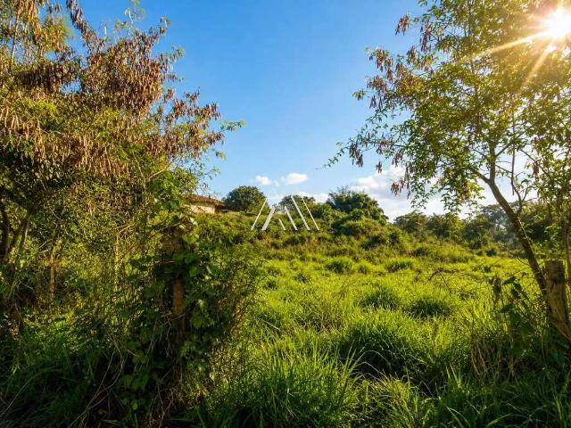 Terreno / Lote para Venda em Igarapé/MG Centro