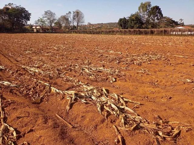 Terreno / Lote para Venda em Igarapé/MG Zona Rural