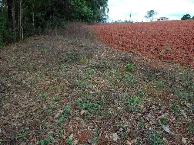 Terreno / Lote para Venda em Igarapé/MG Zona Rural