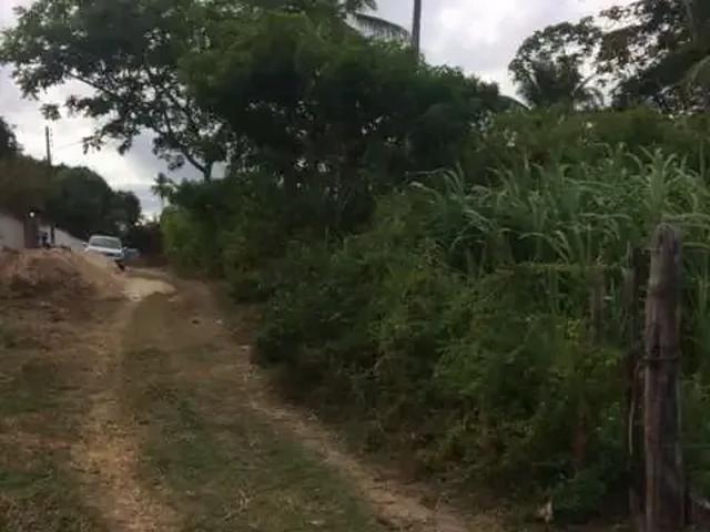 Terreno / Lote para Venda em Igarassu/PE Centro 1 Quartos