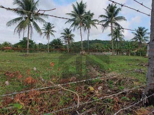 Terreno / Lote para Venda em Igarassu/PE Cruz de Rebouças
