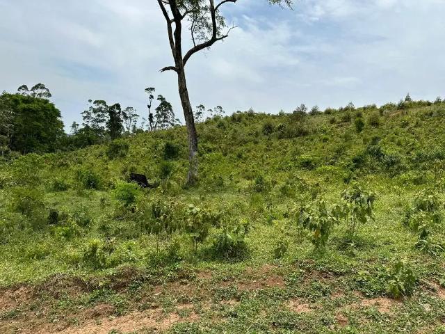 Terreno / Lote para Venda em Igaratá/SP Centro