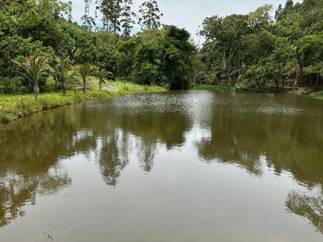 Terreno / Lote para Venda em Igaratá/SP Boa Vista