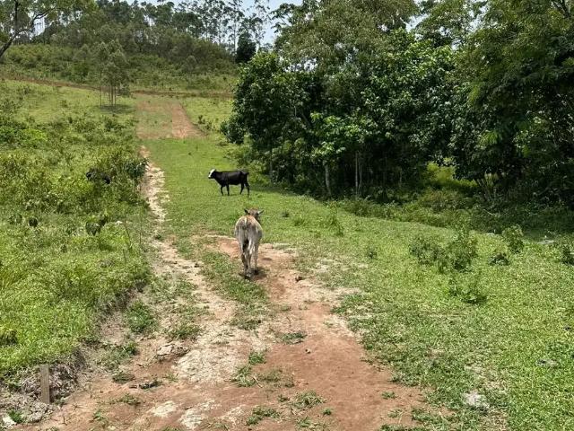 Terreno / Lote para Venda em Igaratá/SP Boa Vista