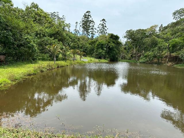 Terreno / Lote para Venda em Igaratá/SP Boa Vista