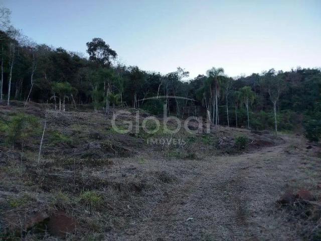 Terreno / Lote para Venda em Igrejinha/RS Três Irmãos