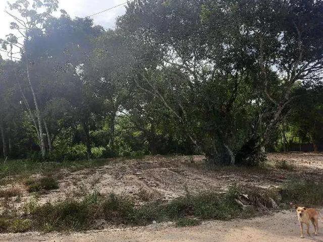 Terreno / Lote para Venda em Iguaba Grande/RJ Igarapiapunha