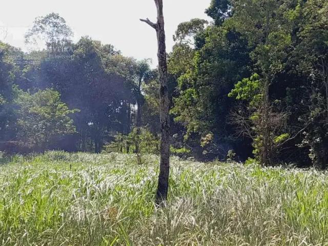 Terreno / Lote para Venda em Iguape/SP Zona Rural