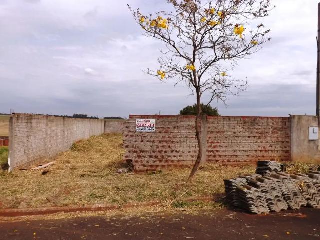 Terreno / Lote para Venda em Iguaraçu/PR Jardim dos Pioneiros