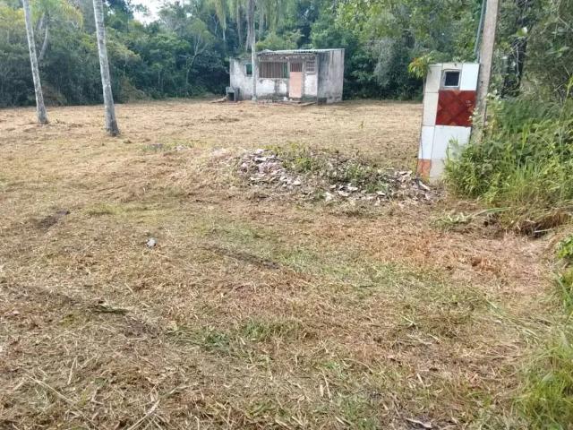 Terreno / Lote para Venda em Ilha Comprida/SP Centro