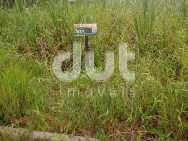 Terreno / Lote para Venda em Ilha Comprida/SP Balneário Yemar