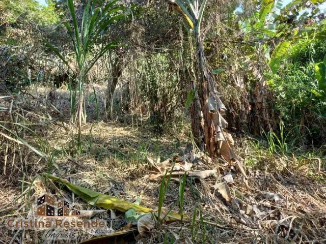 Terreno / Lote para Venda em Ilhabela/SP Barra Velha