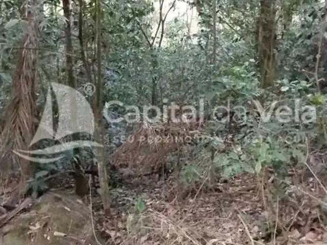 Terreno / Lote para Venda em Ilhabela/SP Furnas