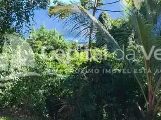Terreno / Lote para Venda em Ilhabela/SP Feiticeira