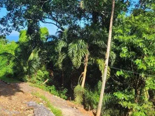 Terreno / Lote para Venda em Ilhabela/SP Feiticeira