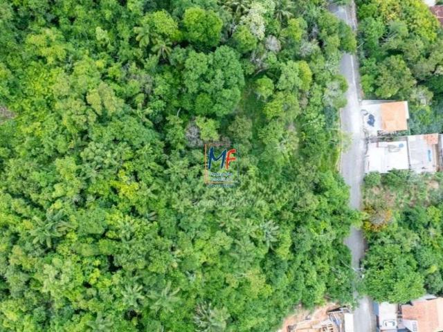 Terreno / Lote para Venda em Ilhabela/SP Perequê