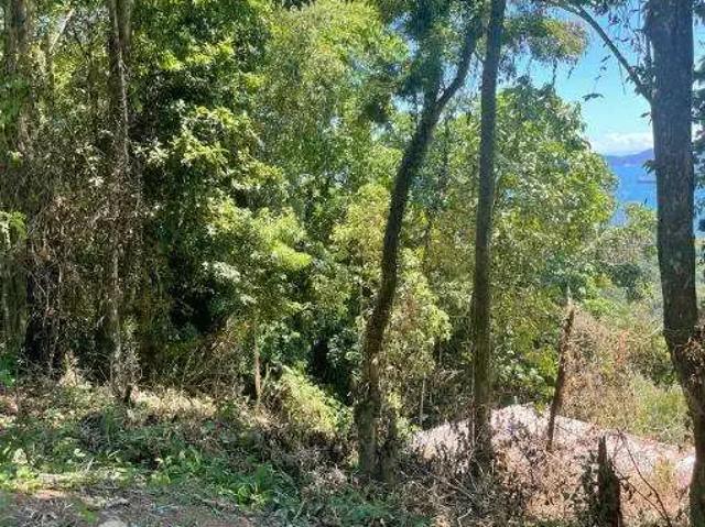 Terreno / Lote para Venda em Ilhabela/SP Portinho
