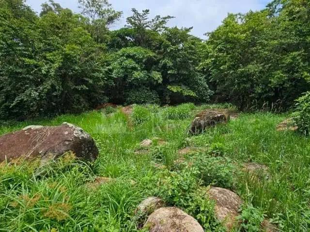 Terreno / Lote para Venda em Ilhabela/SP São Pedro