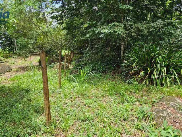 Terreno / Lote para Venda em Ilhabela/SP São Pedro