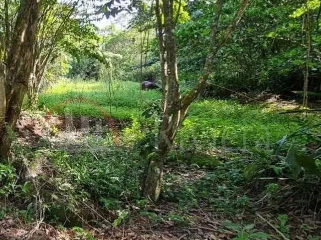 Terreno / Lote para Venda em Ilhabela/SP São Pedro