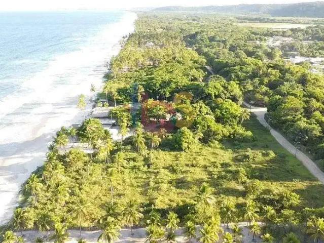 Terreno / Lote para Venda em Ilhéus/BA Aritaguá