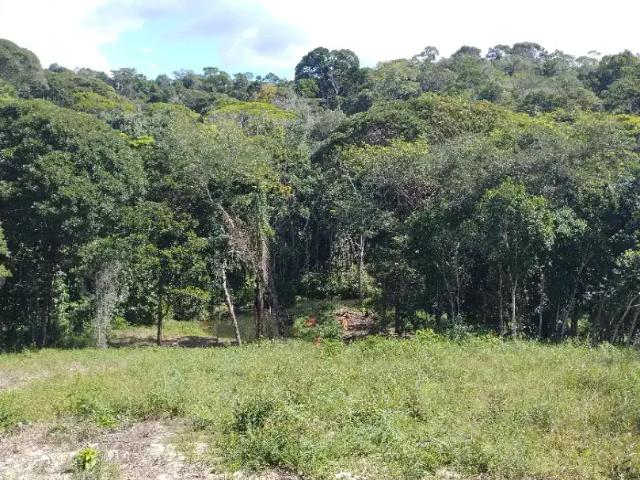 Terreno / Lote para Venda em Ilhéus/BA Coutos