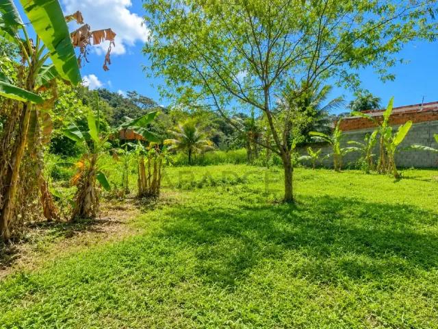Terreno / Lote para Venda em Ilhéus/BA Ilhéus II