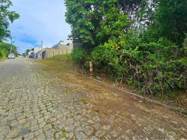 Terreno / Lote para Venda em Ilhéus/BA Nossa Senhora da Vitória