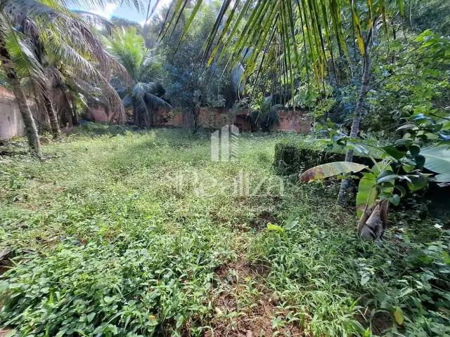 Terreno / Lote para Venda em Ilhéus/BA Nossa Senhora da Vitória