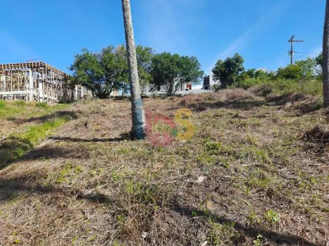 Terreno / Lote para Venda em Ilhéus/BA Nossa Senhora da Vitória