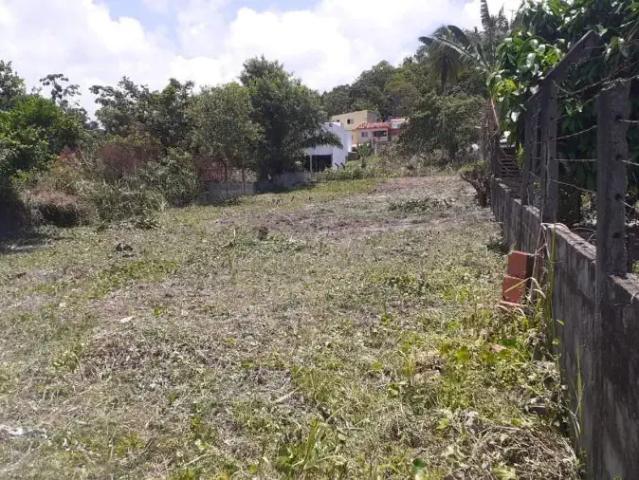 Terreno / Lote para Venda em Ilhéus/BA Olivença