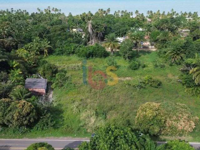 Terreno / Lote para Venda em Ilhéus/BA São Domingos