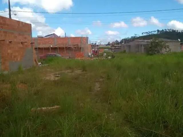 Terreno / Lote para Venda em Ilhota/SC Pedra de Amolar