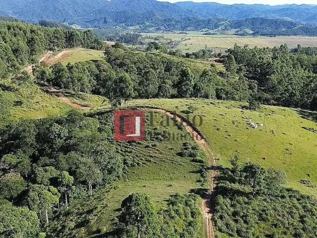 Terreno / Lote para Venda em Imaruí/SC Zona Rural
