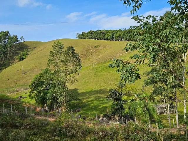 Terreno / Lote para Venda em Imaruí/SC Aratingauba
