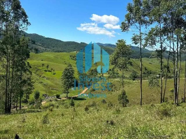Terreno / Lote para Venda em Imaruí/SC Aratingauba