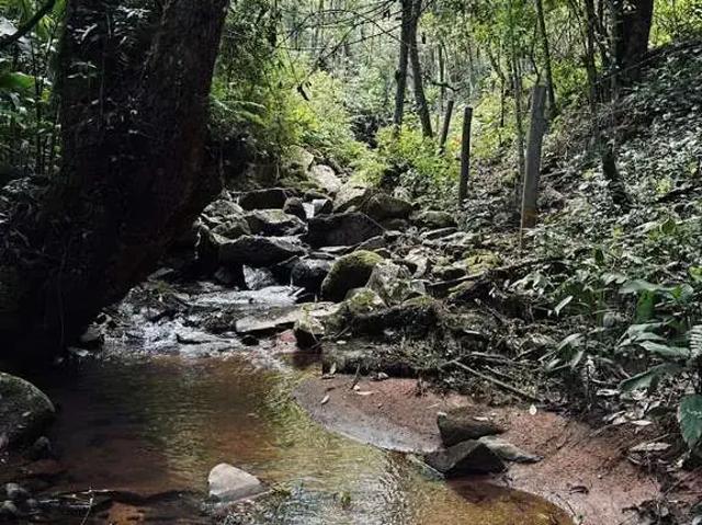 Terreno / Lote para Venda em Imaruí/SC Cangueri Quadro