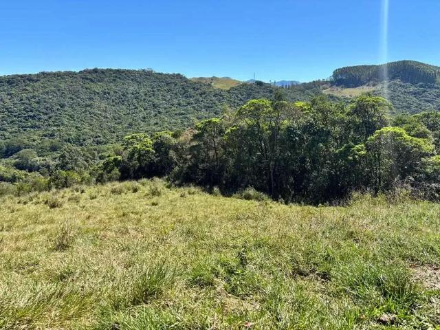 Terreno / Lote para Venda em Imaruí/SC Centro