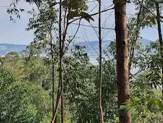 Terreno / Lote para Venda em Imaruí/SC Ponta Grossa