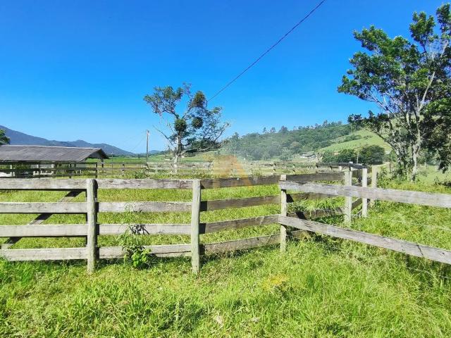 Terreno / Lote para Venda em Imaruí/SC Rio d'Una