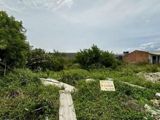 Terreno / Lote para Venda em Imbé/RS Nordeste
