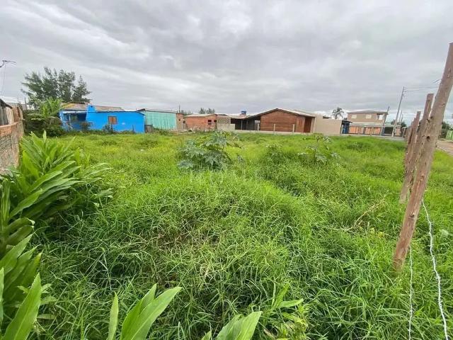 Terreno / Lote para Venda em Imbé/RS Santa Terezinha Distrito