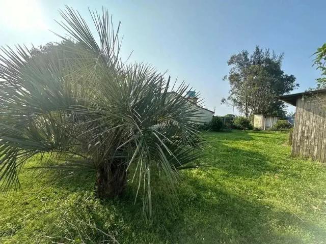 Terreno / Lote para Venda em Imbé/RS Santa Terezinha Distrito