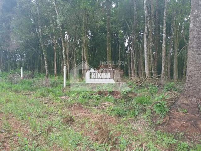 Terreno / Lote para Venda em Imbituva/PR Loteamento Linho I