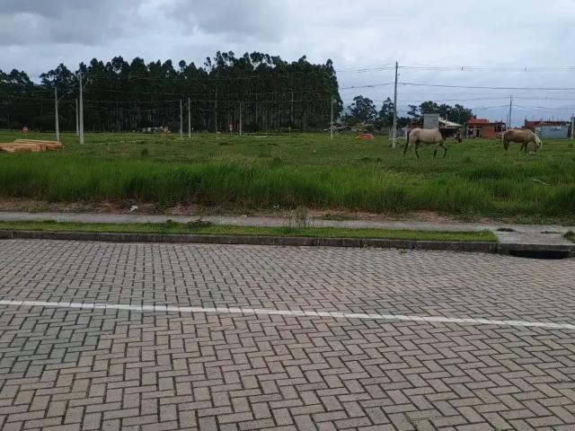 Terreno / Lote para Venda em Imbituba/SC Mirim
