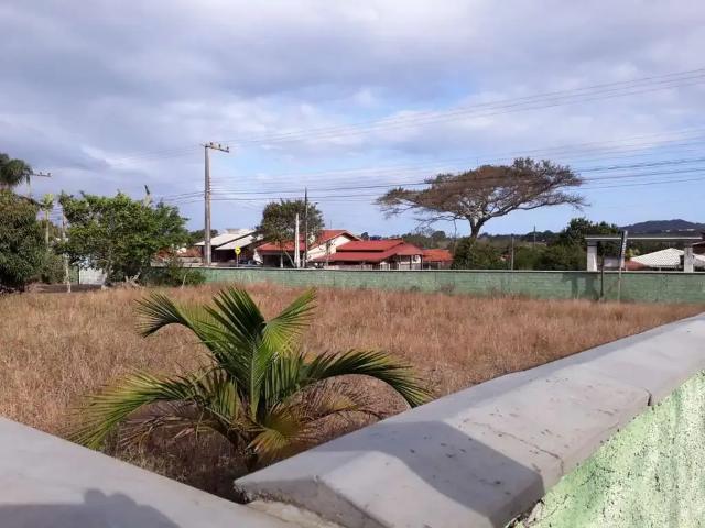 Terreno / Lote para Venda em Imbituba/SC Alto Arroio