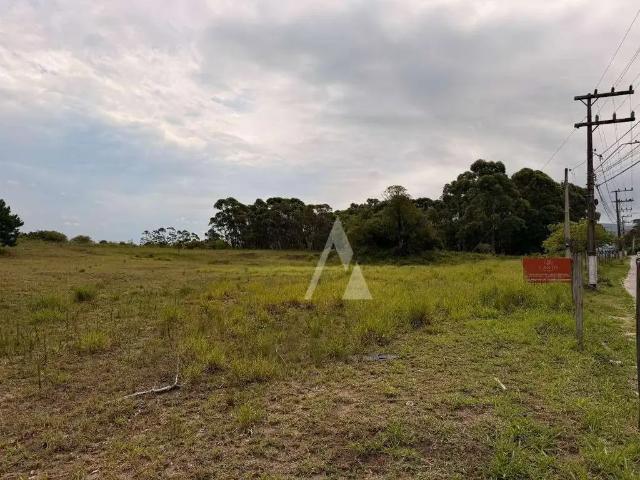 Terreno / Lote para Venda em Imbituba/SC Araçatuba