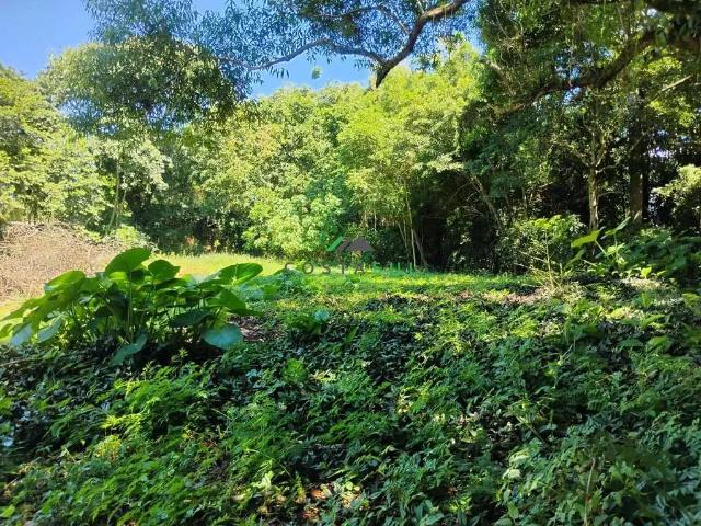 Terreno / Lote para Venda em Imbituba/SC Ibiraquera